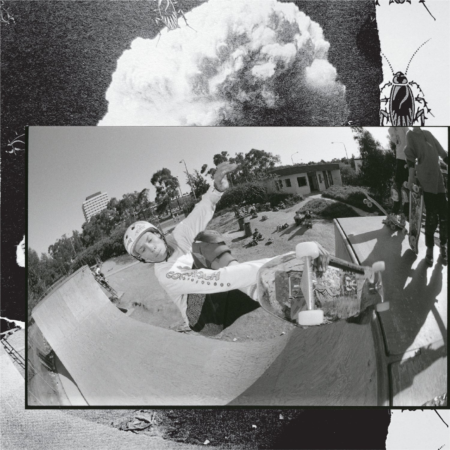 Cockroach Wheels - Premium Performance Skateboard Wheels